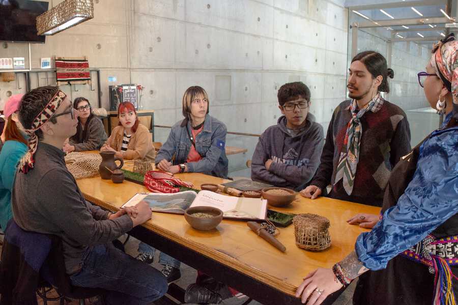 ¿Eres mapuche y tienes entre 14 y 29 años? Es tu oportunidad de ...